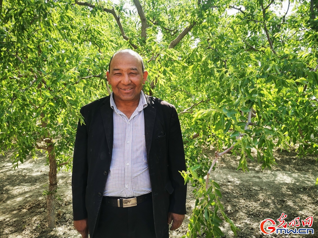 Higher Chinese dates output in Makit County thanks to more scientific ...